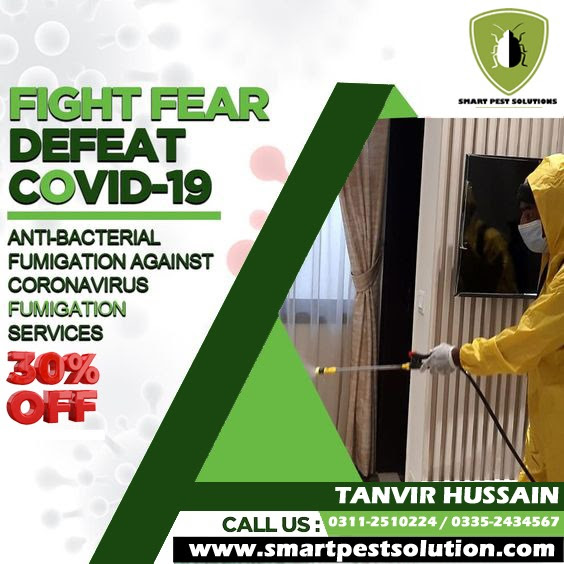 Gallery – SMART PEST SOLUTIONS